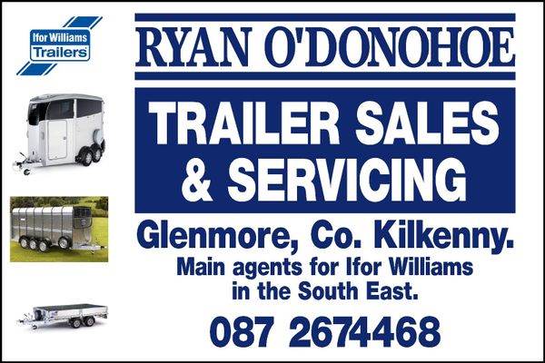 gazelle-ami-electric-bike Trailers For Sale in Ireland | DoneDeal