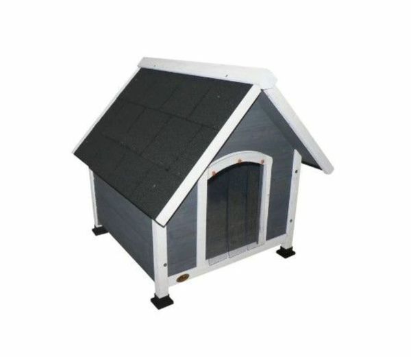 very friendly dog | 11 All Sections Ads For Sale in Ireland | DoneDeal