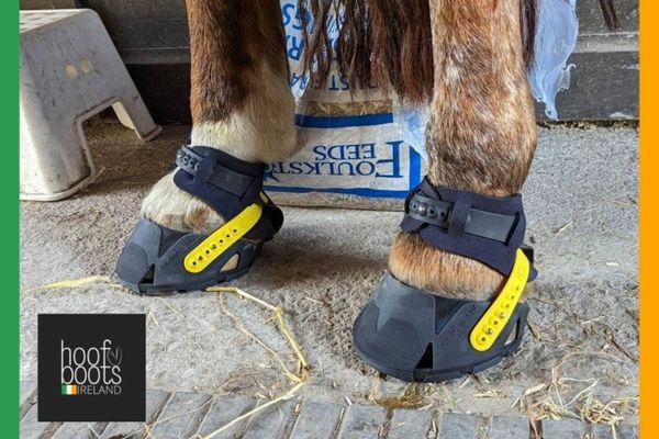 hacking boots | 1 All Sections Ad For Sale in Ireland | DoneDeal