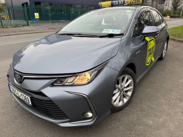 welsh-part-bred-for-sale Taxi Plates Ads For Sale in Ireland | DoneDeal