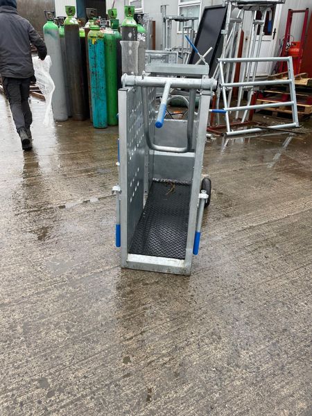 cattle chute with head gate for sale | 46 All Sections Ads For Sale in ...