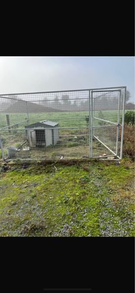 collie dogs for sale | 75 Animals Ads For Sale in Ireland | DoneDeal