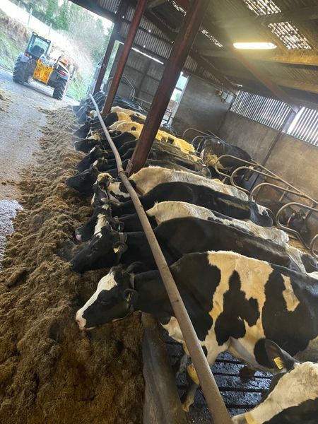 calving-camera-self-contained-system-pan-tilt Dairy Cattle Ads For Sale ...