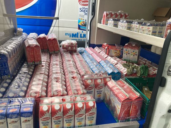 surge milking parlor for sale | 2,261 All Sections Ads For Sale in ...