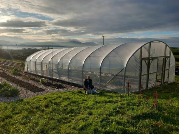POLYTUNNELS | 75 All Sections Ads For Sale in Ireland | DoneDeal