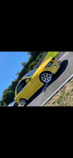 imx to Silver-Starlets-Kira | 1 All Sections Ad For Sale in Ireland ...