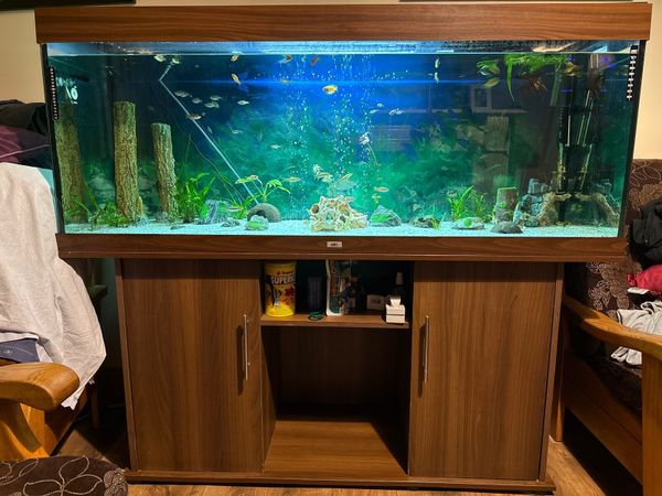 fish tank decoration caraibian | 14 All Sections Ads For Sale in ...