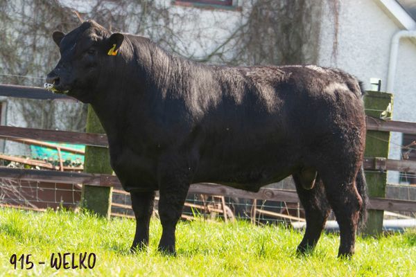 stanley 90 super star | 27 All Sections Ads For Sale in Ireland | DoneDeal