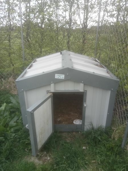 dog run 150 seller dandan27x | 10 All Sections Ads For Sale in Ireland ...