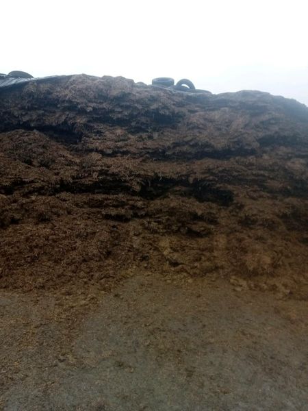 biocell-septic-tank-sewage-treatment-plants Bedding & Feed Ads For Sale ...