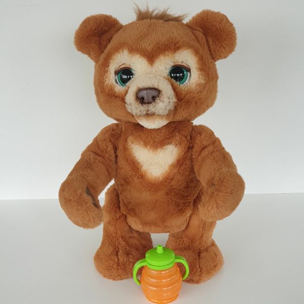 cubbie bear | 1 All Sections Ad For Sale in Ireland | DoneDeal