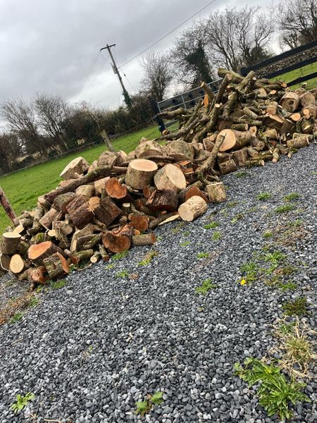 storm eowyn | 3 House & DIY Ads For Sale in Ireland | DoneDeal