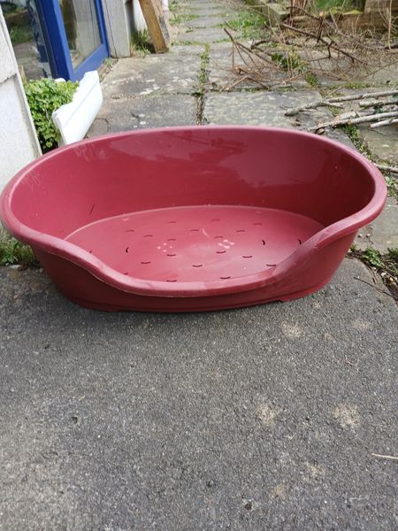 real dogs | 7 All Sections Ads For Sale in Ireland | DoneDeal