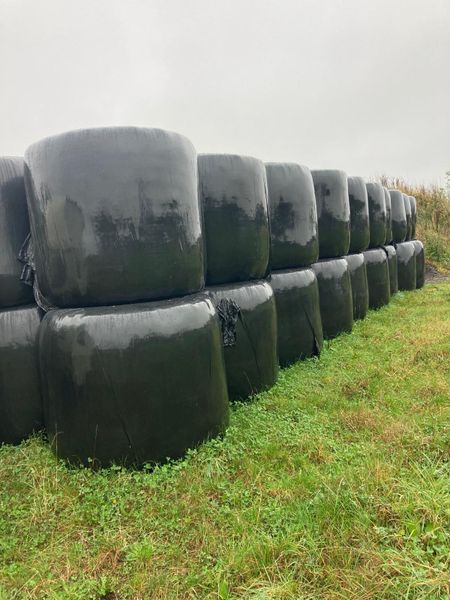 fertiliser-bag-lifter Farming Ads For Sale in Ireland | DoneDeal