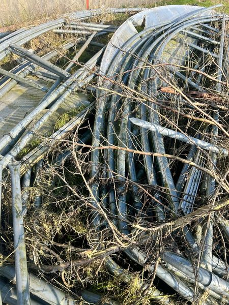 polly tunnels | 4 All Sections Ads For Sale in Ireland | DoneDeal