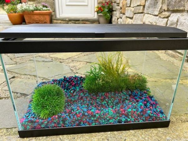 used fish tanks | 40 All Sections Ads For Sale in Ireland | DoneDeal