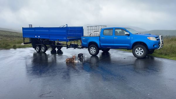 sheep shearing trailer | 8 All Sections Ads For Sale in Ireland | DoneDeal