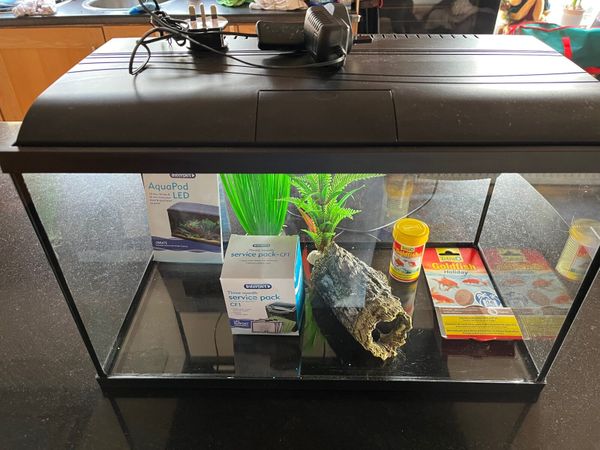 black | 4 Fish Ads For Sale in Ireland | DoneDeal