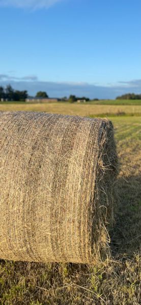 abbey-grass-toppers Farming Ads For Sale in Ireland | DoneDeal