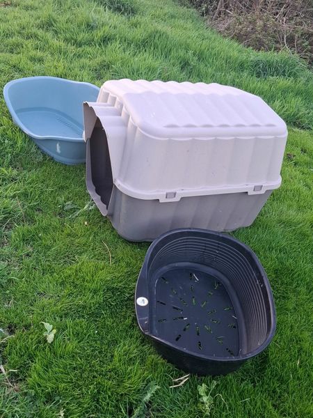 dogs kerry | 27 All Sections Ads For Sale in Ireland | DoneDeal