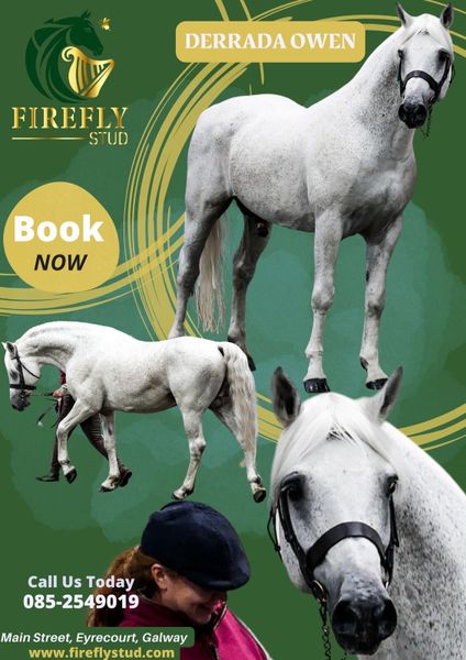 scaffold-tower Animals Ads For Sale in Ireland | DoneDeal