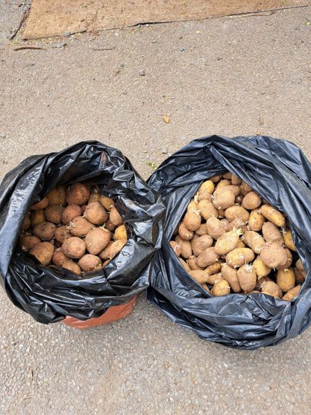 potato express | 1 All Sections Ad For Sale in Ireland | DoneDeal