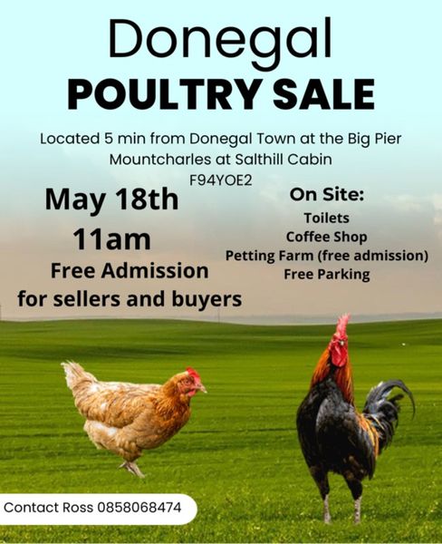big sales | 4 Poultry Ads For Sale in Ireland | DoneDeal