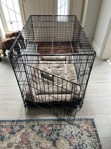 dogs | 400 Animals Ads For Sale in Ireland | DoneDeal