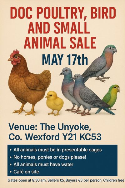 stuffed animals and birds | 67 All Sections Ads For Sale in Ireland ...