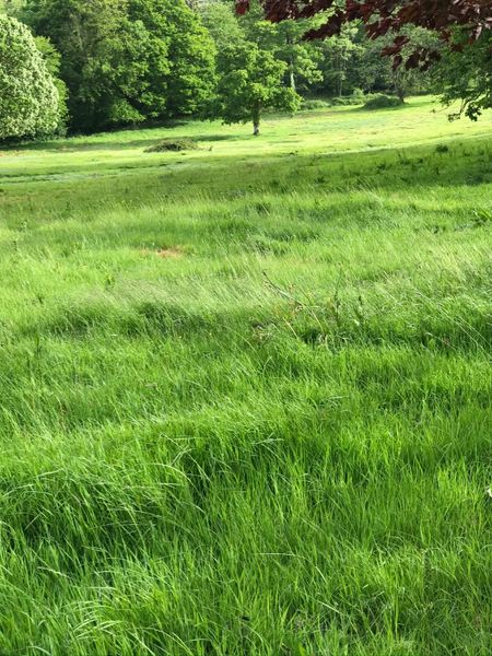 biocell-concrete-septic-sewage-treatment-systems Farmers Noticeboard ...