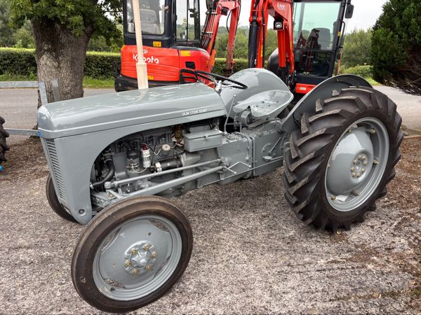 grey ferguson | 6 Tractors Ads For Sale in Ireland | DoneDeal