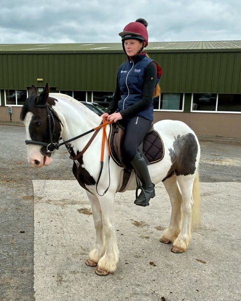 black and white gamm | 1 Ponies Ad For Sale in Ireland | DoneDeal
