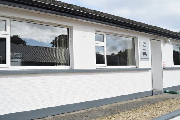 open house with cars | 3 Beef Cattle Ads For Sale in Ireland | DoneDeal