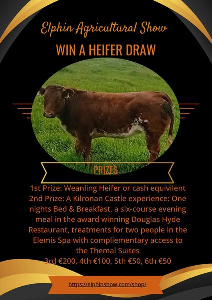 ticket | 2 Beef Cattle Ads For Sale in Ireland | DoneDeal