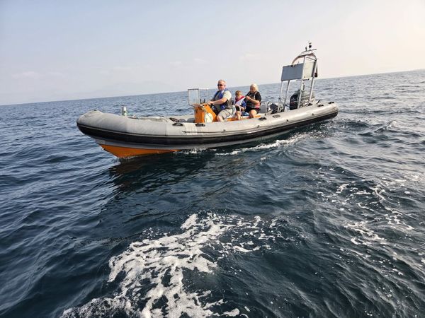 euro-pallets-and-ibc-tanks Boats & Jet Skis For Sale in Ireland | DoneDeal