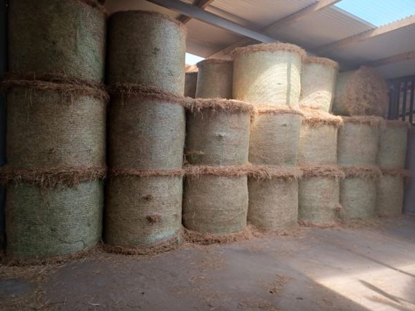 hay mower caddy for sale | 2,026 All Sections Ads For Sale in Ireland ...