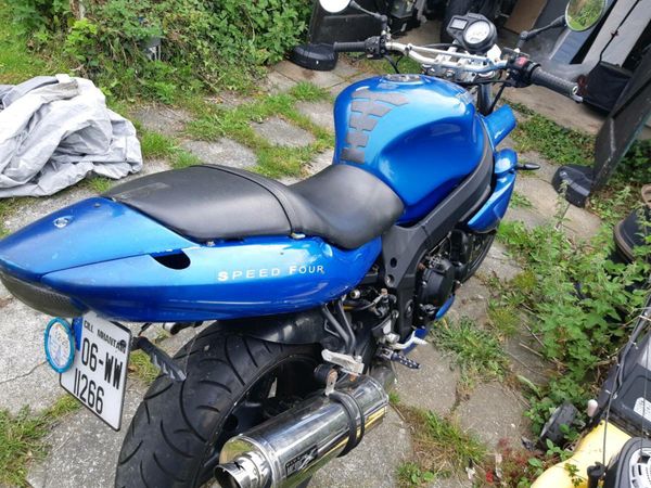 triumph Maltese for sale | 132 All Sections Ads For Sale in Ireland ...