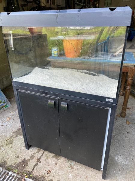 C | 2 Fish Ads For Sale in Ireland | DoneDeal