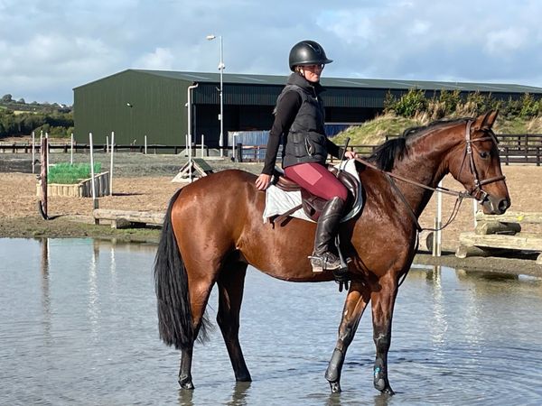 xc app | 3 All Sections Ads For Sale in Ireland | DoneDeal