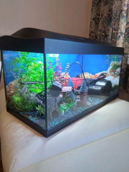 fish tank | 10 House & DIY Ads For Sale in Ireland | DoneDeal