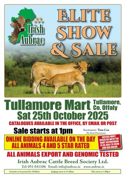 information for irish passport | 4 Beef Cattle Ads For Sale in Ireland ...