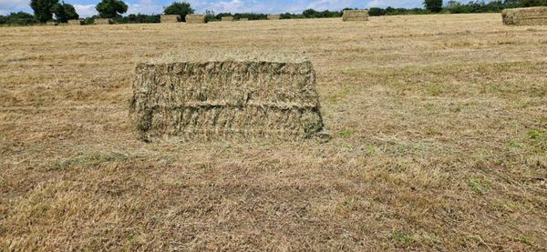 grow in love login | 51 All Sections Ads For Sale in Ireland | DoneDeal