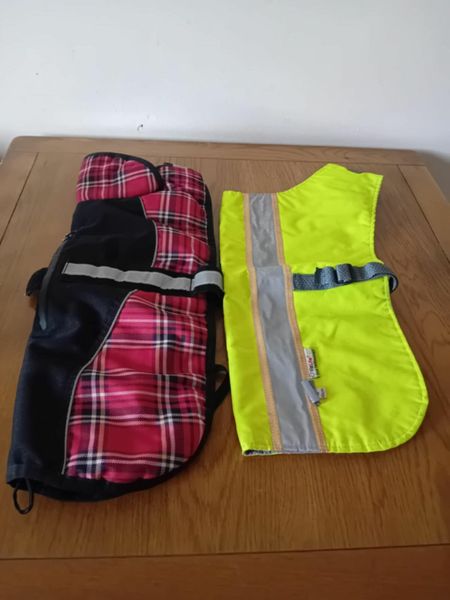 dogs | 450 Animals Ads For Sale in Ireland | DoneDeal