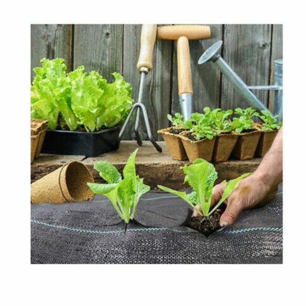 used-timber-potato-boxes Plants & Landscaping Ads For Sale in Ireland ...