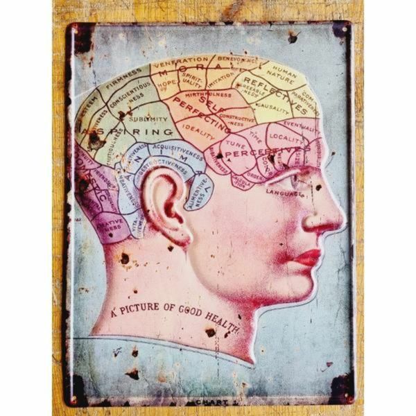 Brain | 63 All Sections Ads For Sale in Ireland | DoneDeal