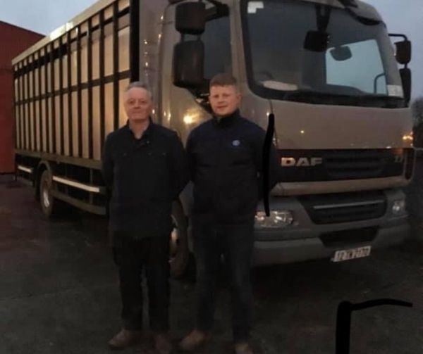 countdown of 2025 to 2026 | 46 Livestock Ads For Sale in Ireland | DoneDeal