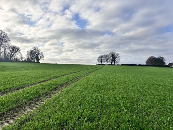 shops for rent in wales | 82 Tractors Ads For Sale in Ireland | DoneDeal