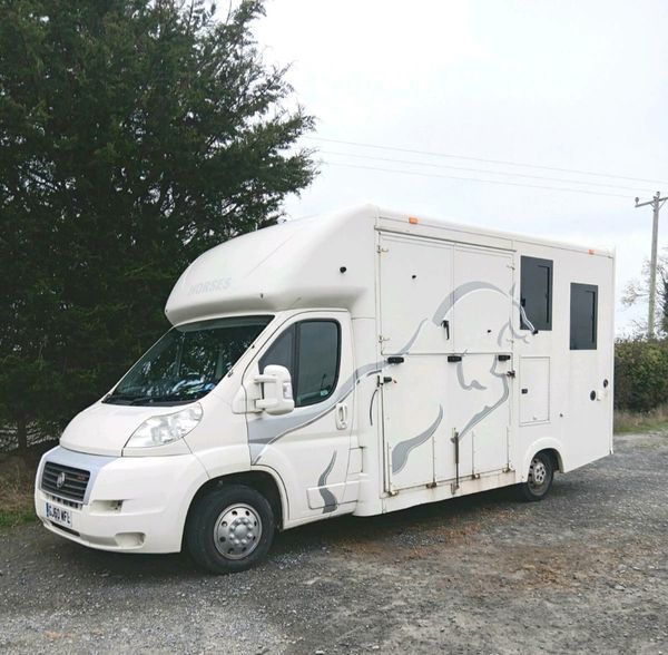 springer-x-lurcher-pups-for-sale Horse Transport Ads For Sale in ...