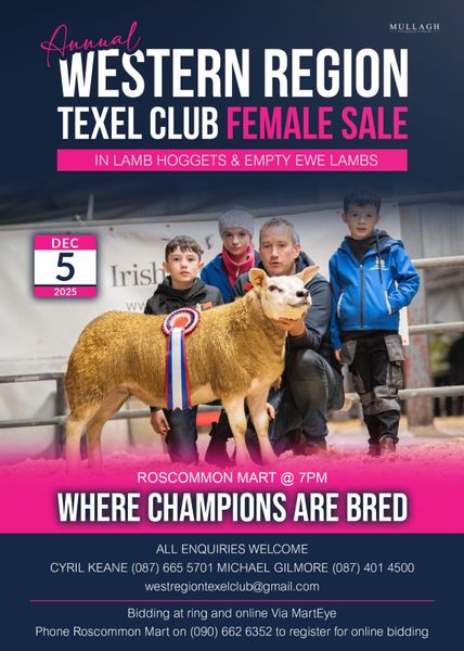 krone-silage-wagon Sheep Ads For Sale in Ireland | DoneDeal