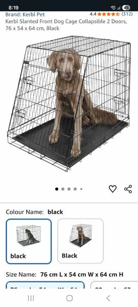 USING MY CAR for driving test | 9 Animals Ads For Sale in Ireland ...